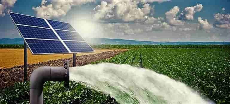 NRDC partners with SEWA to empower Gujarat’s women through solar ...